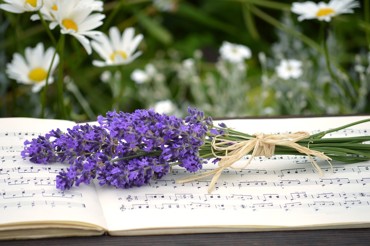 TARADALE SCHOOL UPDATES JUNE 10, 2025 - Taradale School